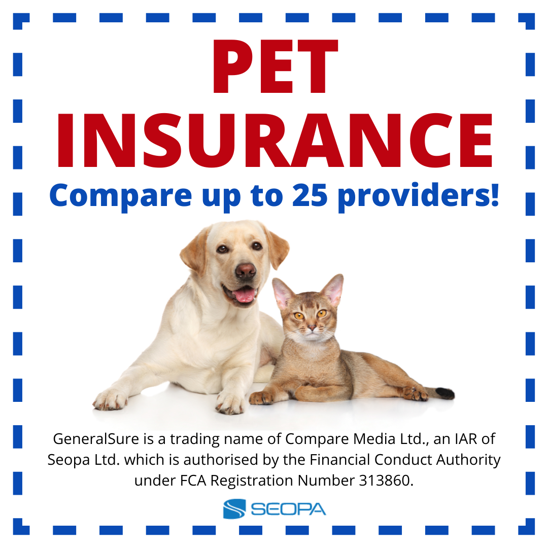Compare Pet Insurance Cover for Your Cat, Dog or Rabbit